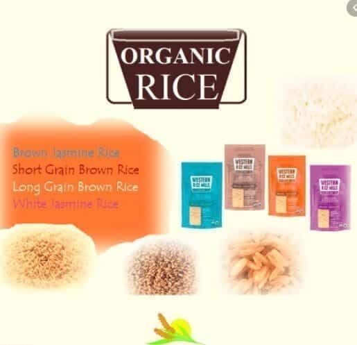 Western Rice – Falcon Essentials. – Your Trusted Wholesale Supplier for ...